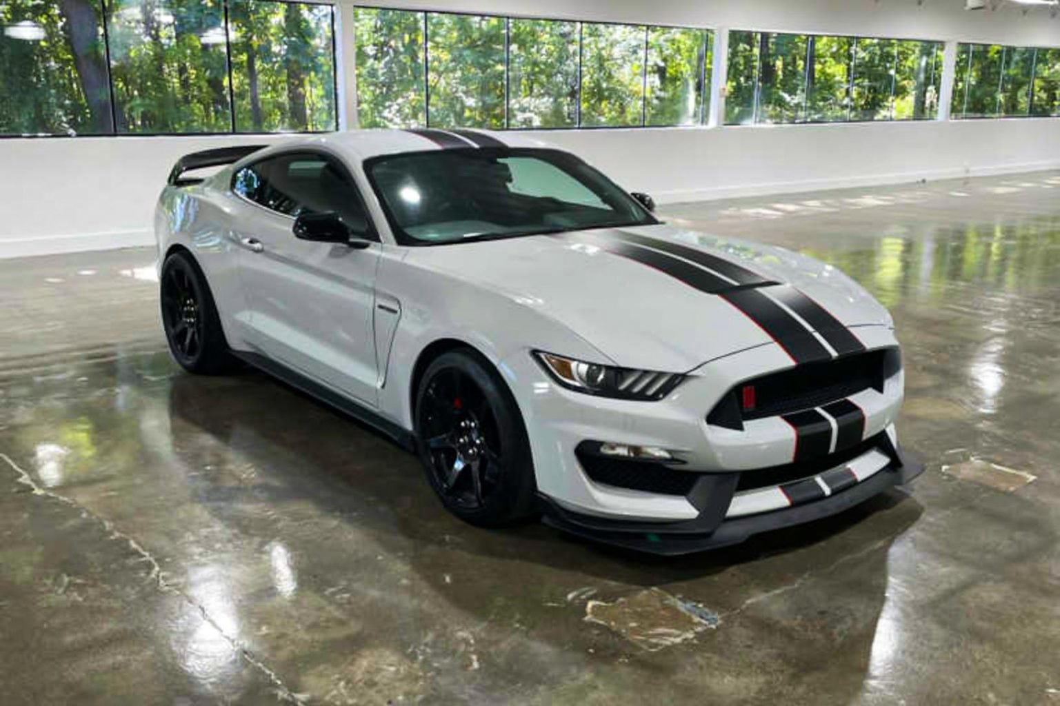 2017 Ford Shelby GT350R for Sale | Built for Backroads