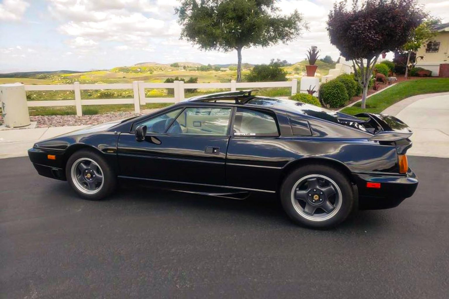 1990 Lotus Esprit Turbo SE for Sale | Built for Backroads