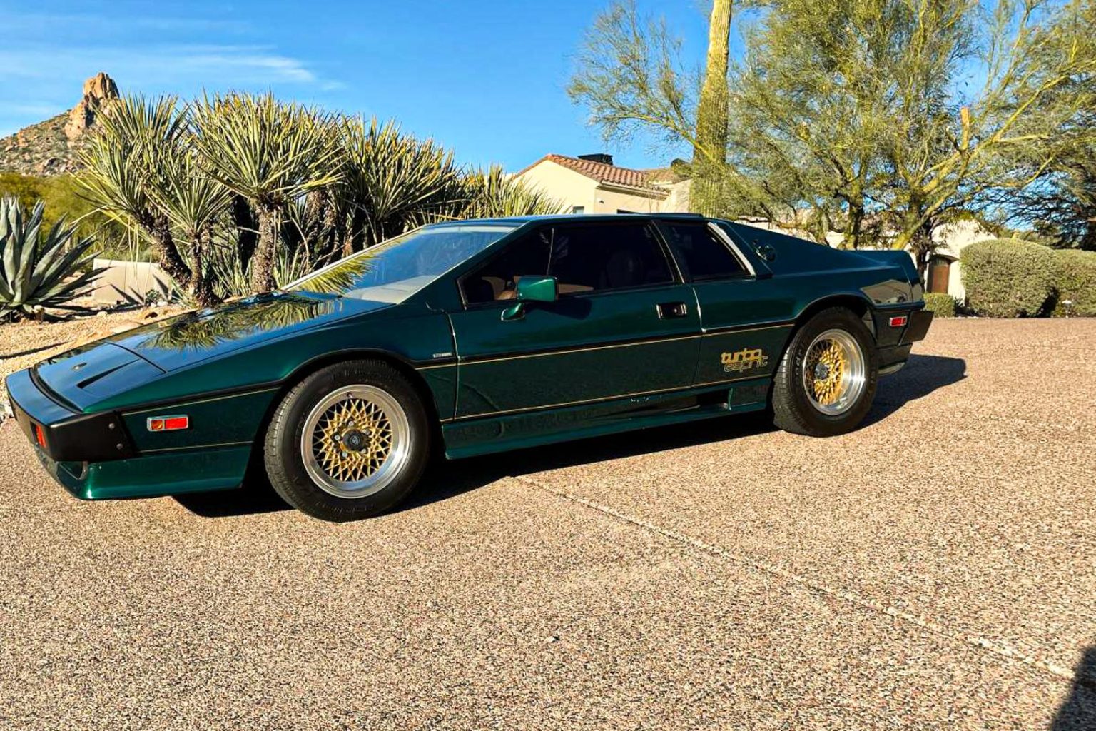 1985 Lotus Esprit Turbo for Sale | Built for Backroads