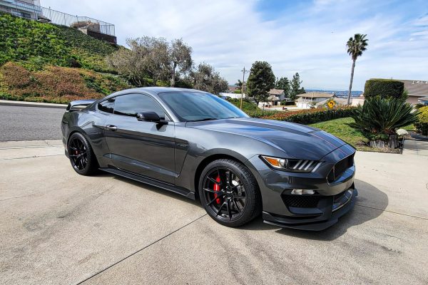 2016 Ford Shelby GT350R for Sale | Built for Backroads