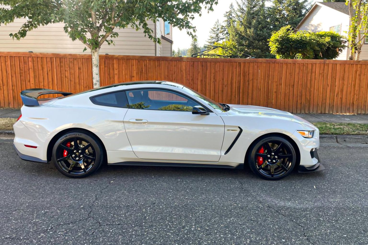 2016 Ford Shelby GT350R for Sale | Built for Backroads
