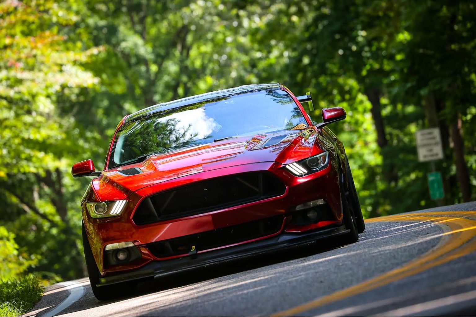 2016 Ford Mustang GT for Sale | Built for Backroads