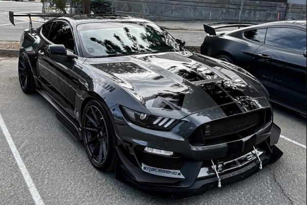 2020 Ford Shelby GT350 for Sale | Built for Backroads