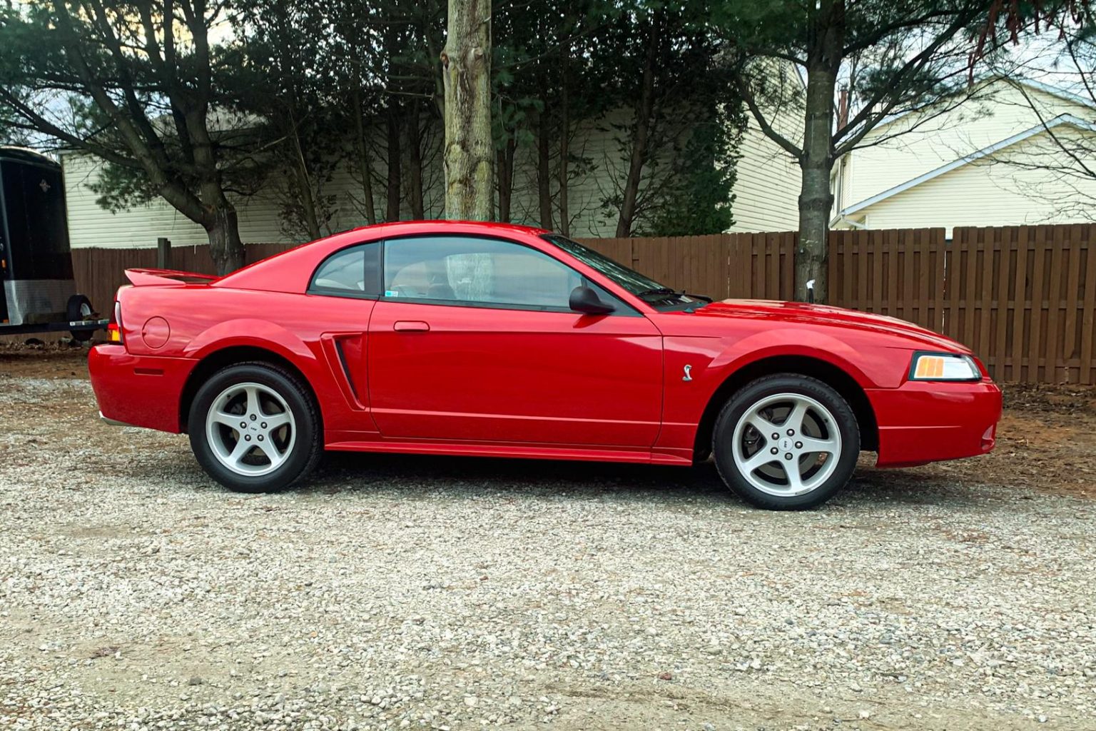 1999 Ford SVT Cobra Mustang for Sale | Built for Backroads