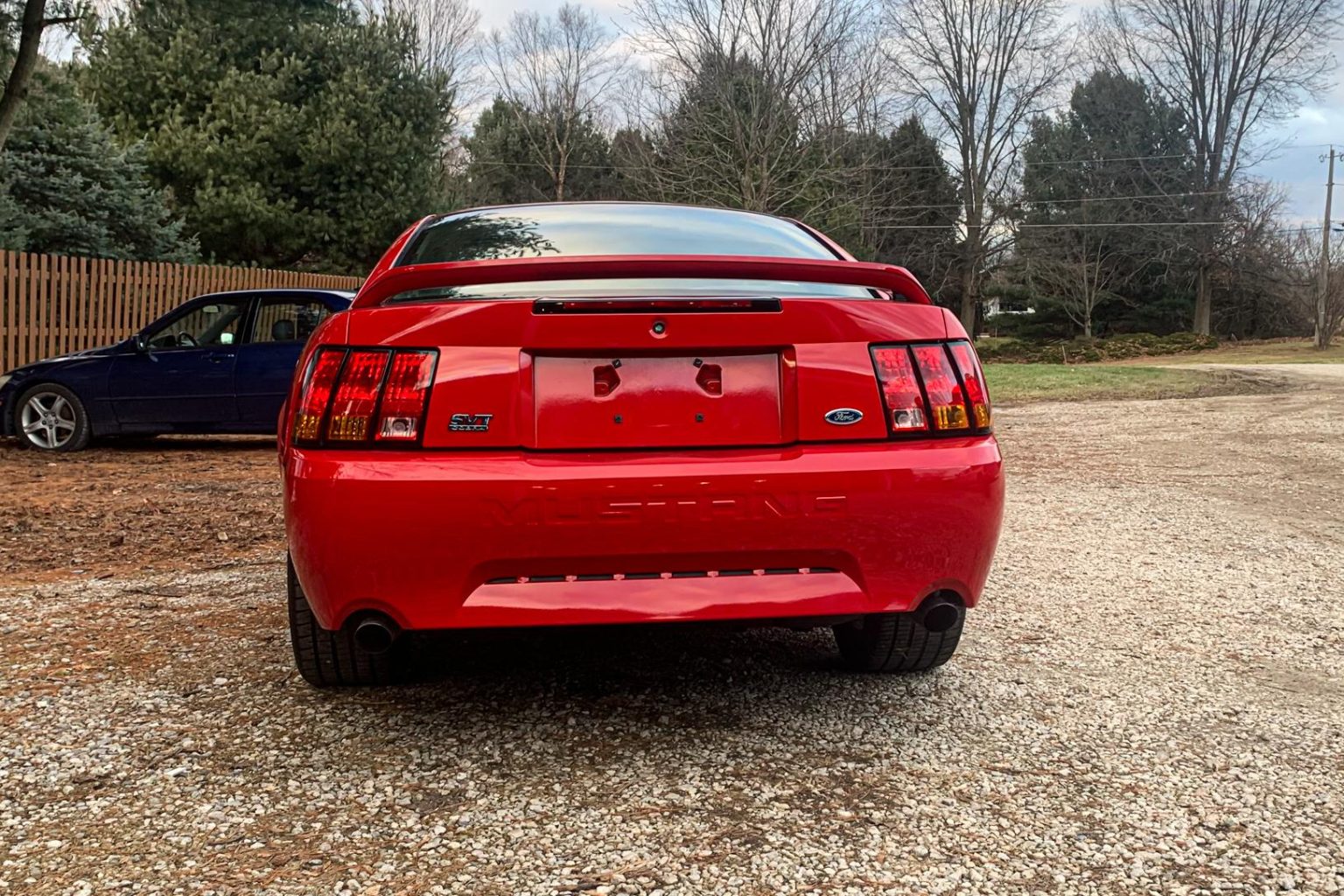 1999 Ford SVT Cobra Mustang for Sale | Built for Backroads