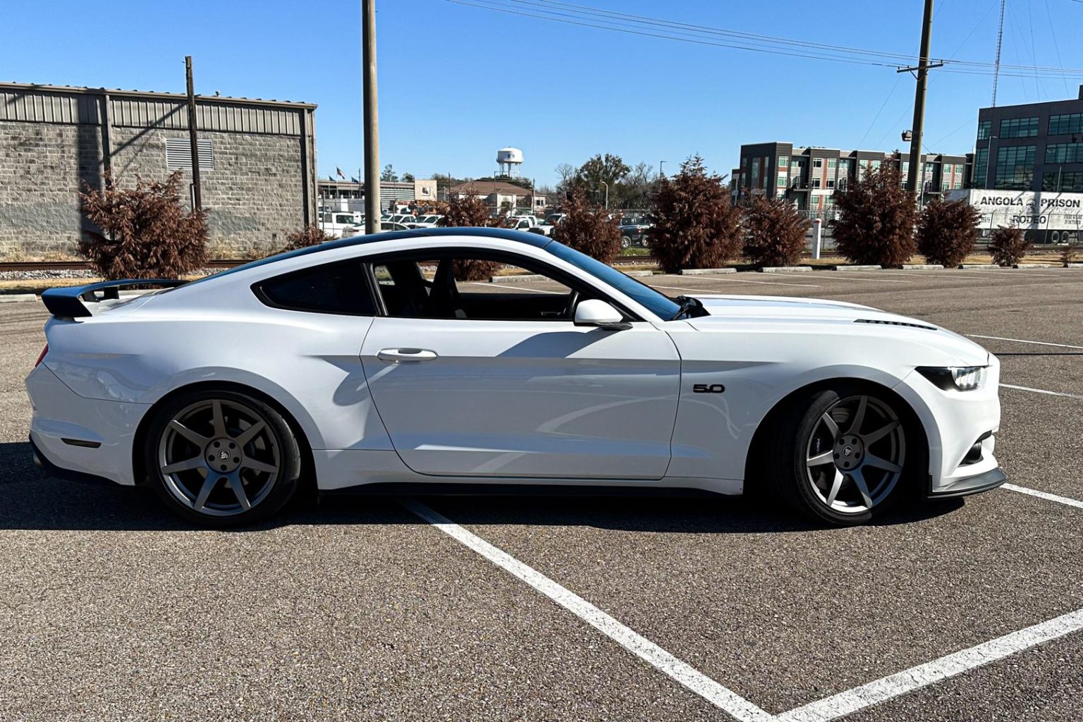 2016 Ford Mustang GT for Sale | Built for Backroads