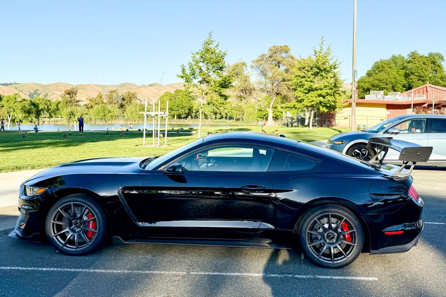 2019 Ford Shelby GT350R for Sale | Built for Backroads